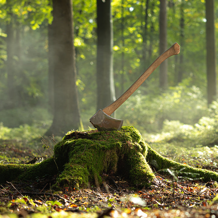 Team Events – im-Wald